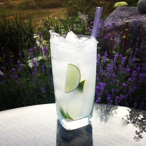 Citrus Injection Drink - Recept på goda drinkar - Drinkoteket